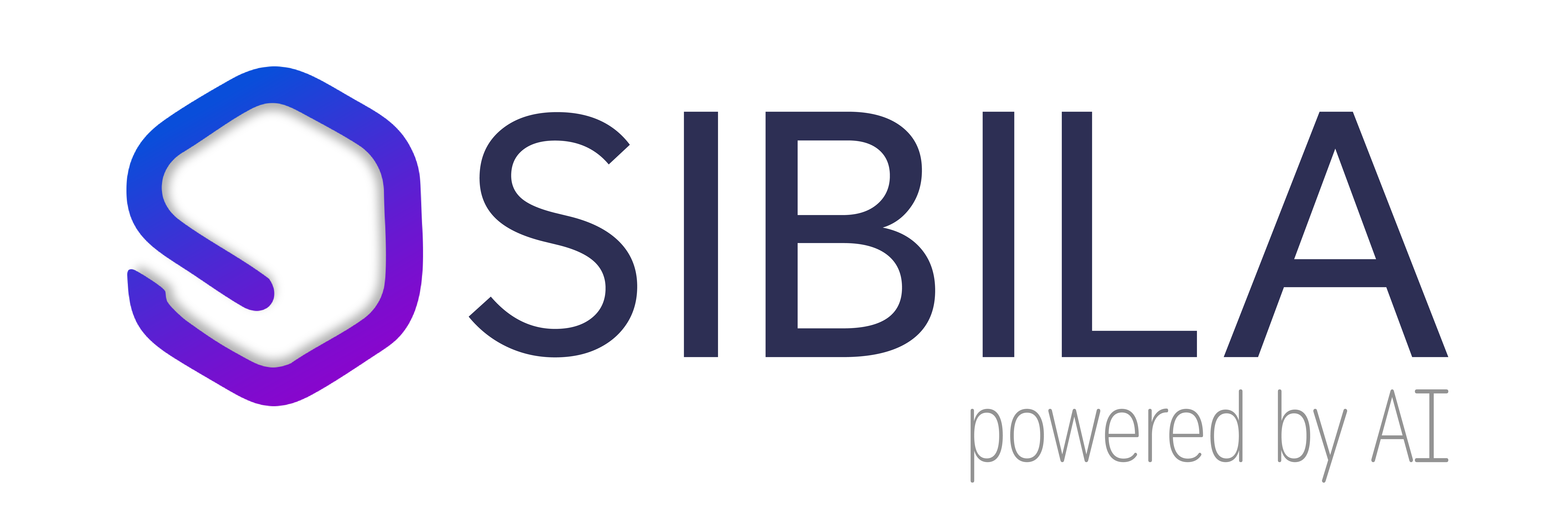 Zoho CRM - Sibila